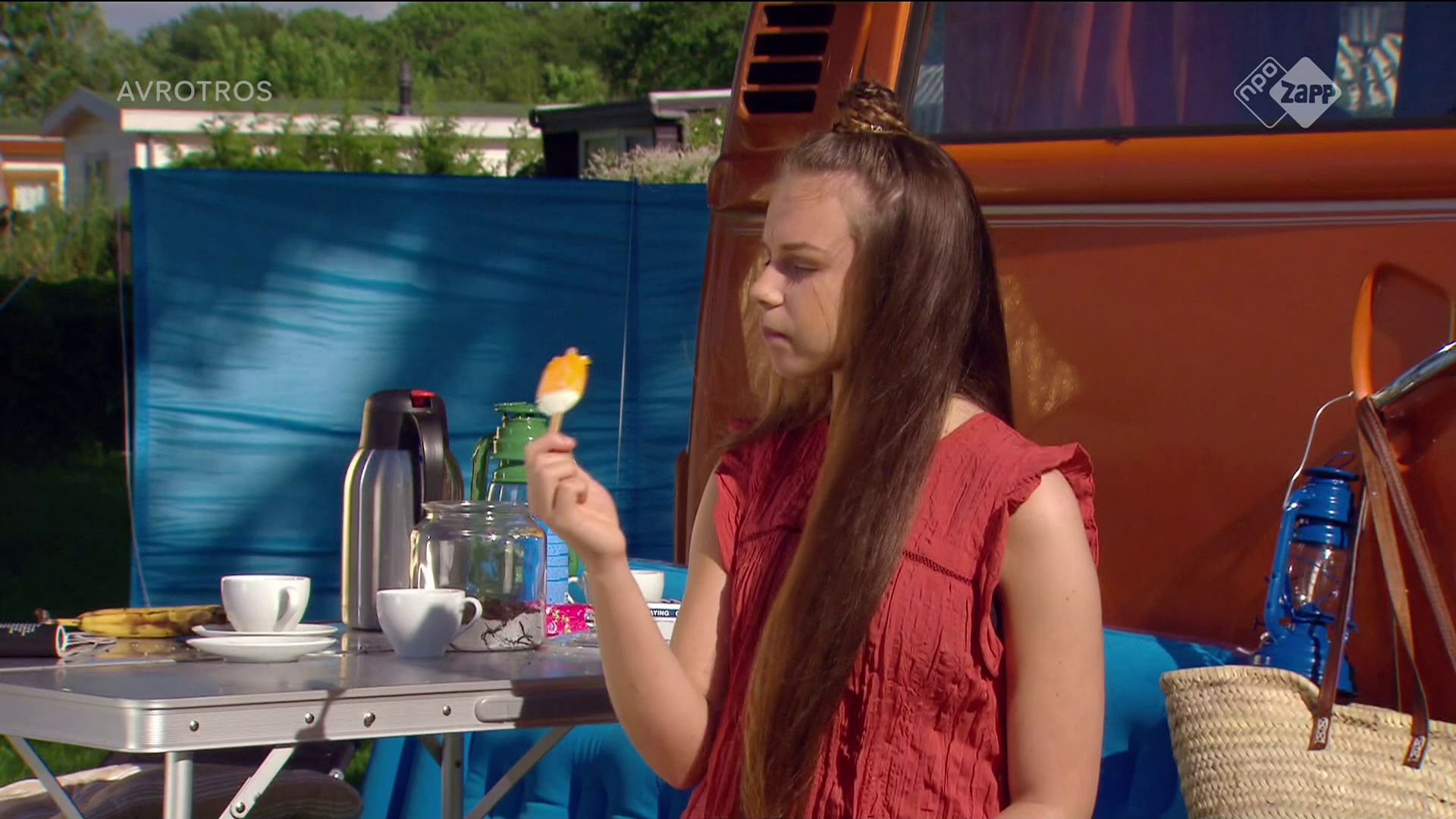 Bij Ron op de Camping – Vidcaps